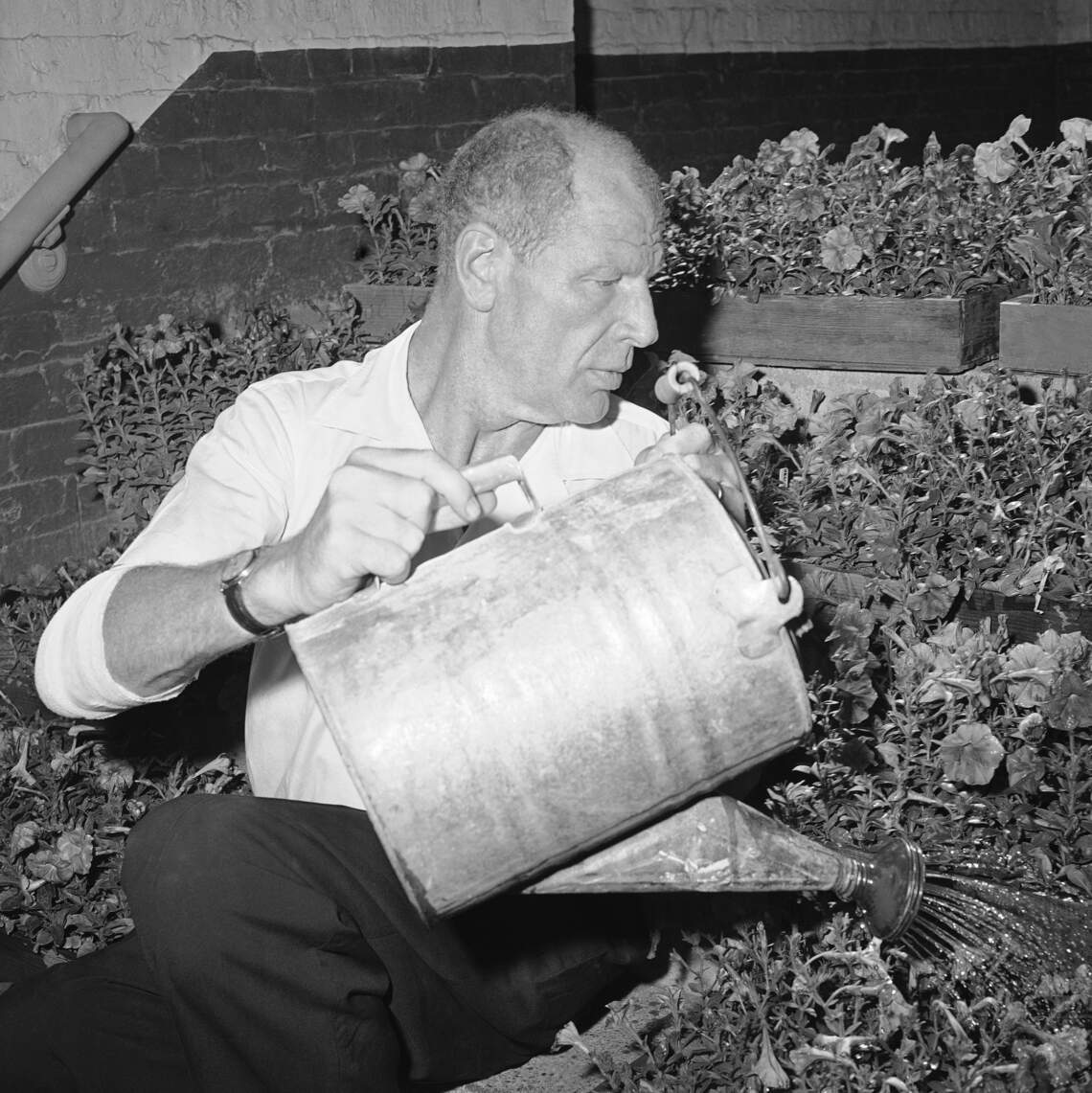 IL native Bill Veeck was champion for the game of baseball | Belleville ...