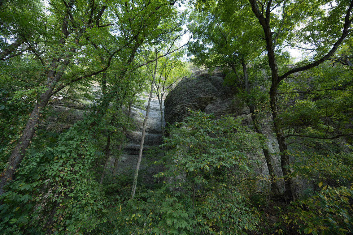 Explore snake road: Unique IL hiking trail in Shawnee Forest ...