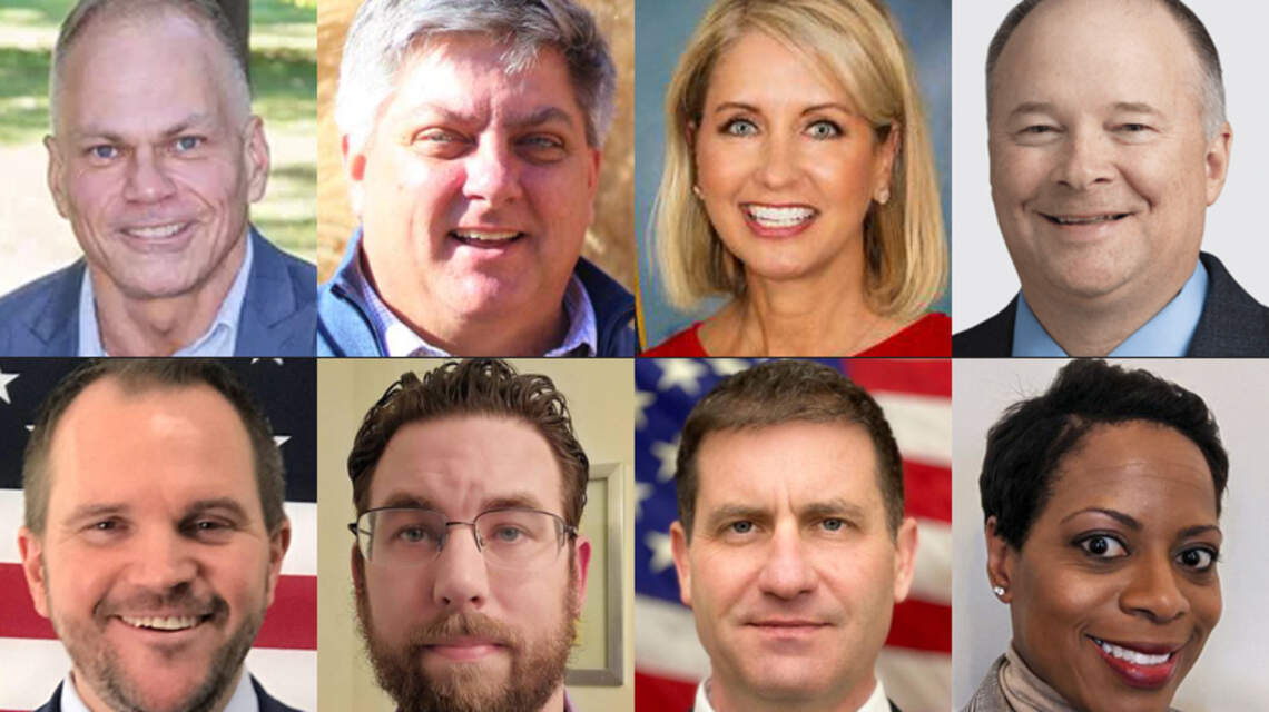IL 15th District primary election results | Belleville News-Democrat
