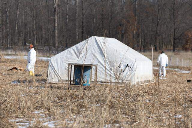 Freeburg IL area farm hit by devastating bird flu wave | Belleville ...