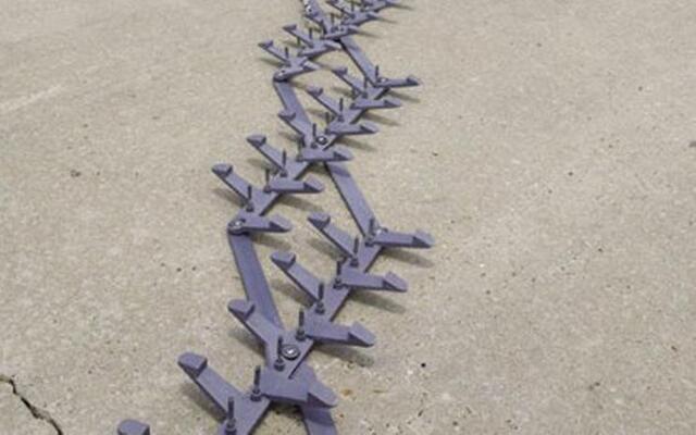 Police officer safety at risk when using spike strips | Belleville News ...