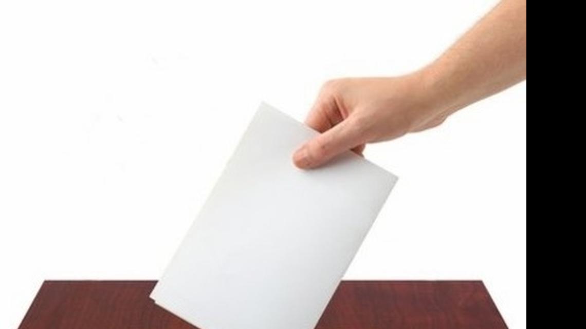 C.J. Baricevic seeks Democratic nod in 12th District; Watson considers ...