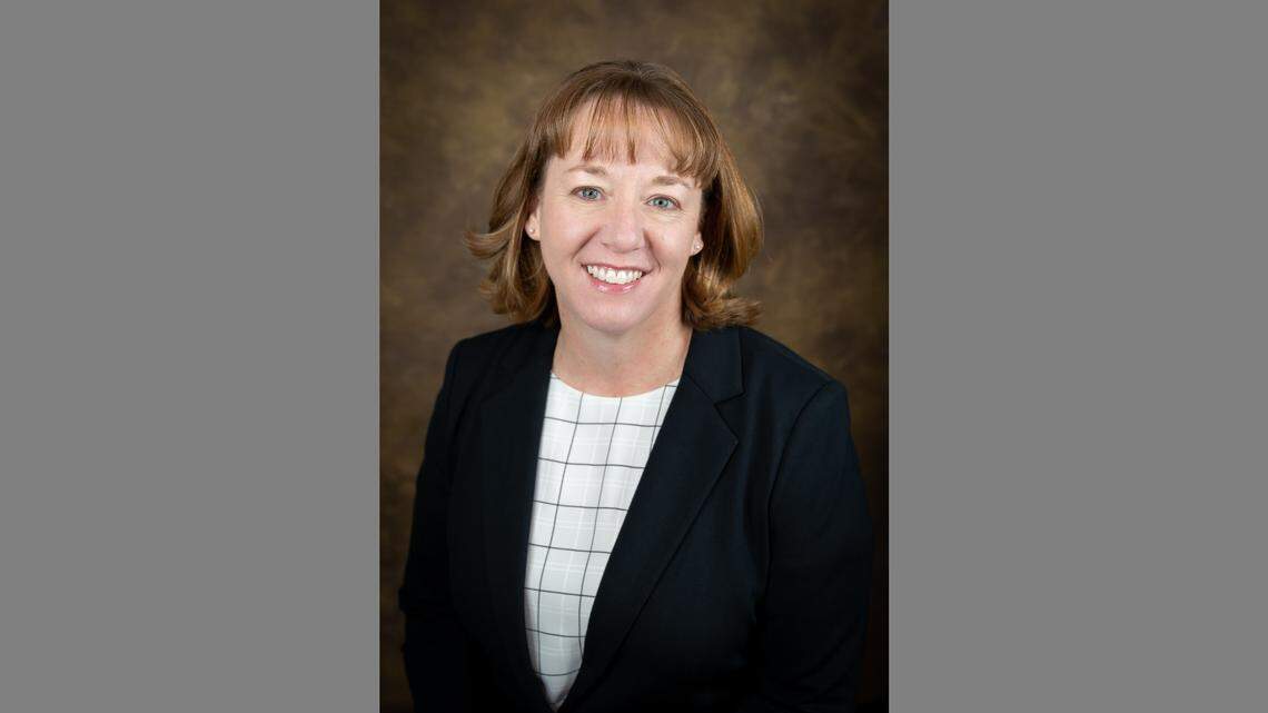 Alton, IL Republican Amy Elik to run in 111th House District ...